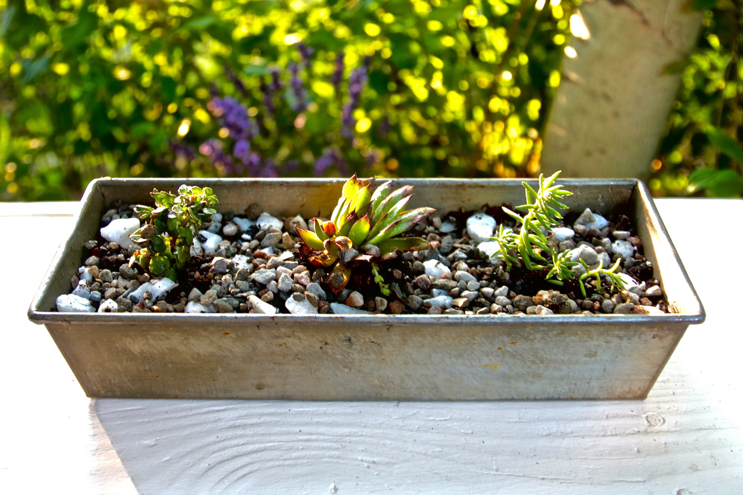 Fun and Creative Planter Ideas :: YardYum - Garden Plot Rentals